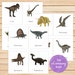 Montessori Dinosaur 3 Part Cards | Etsy