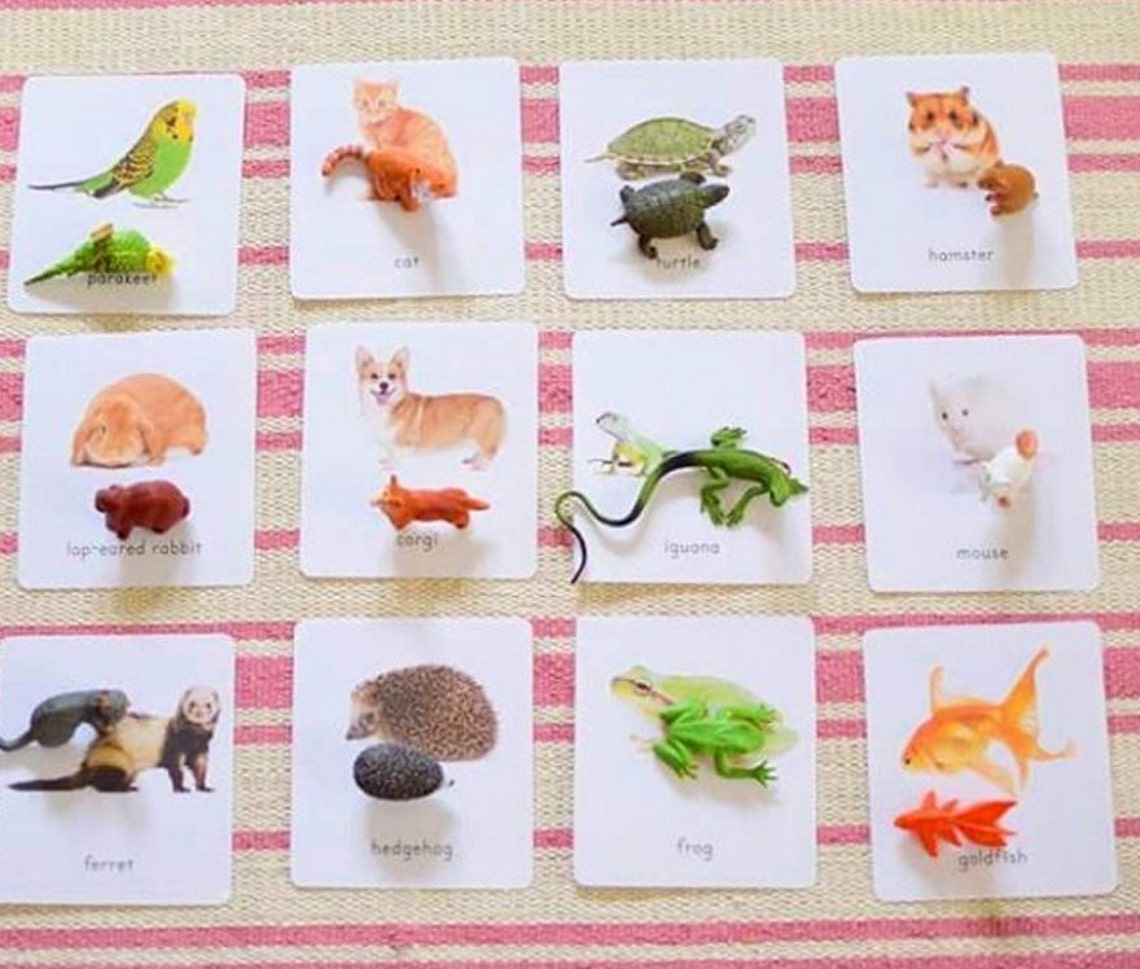 Montessori Pets 3 Part Cards - Etsy
