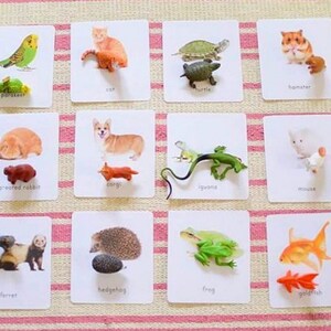 Montessori Pets 3 Part Cards - Etsy