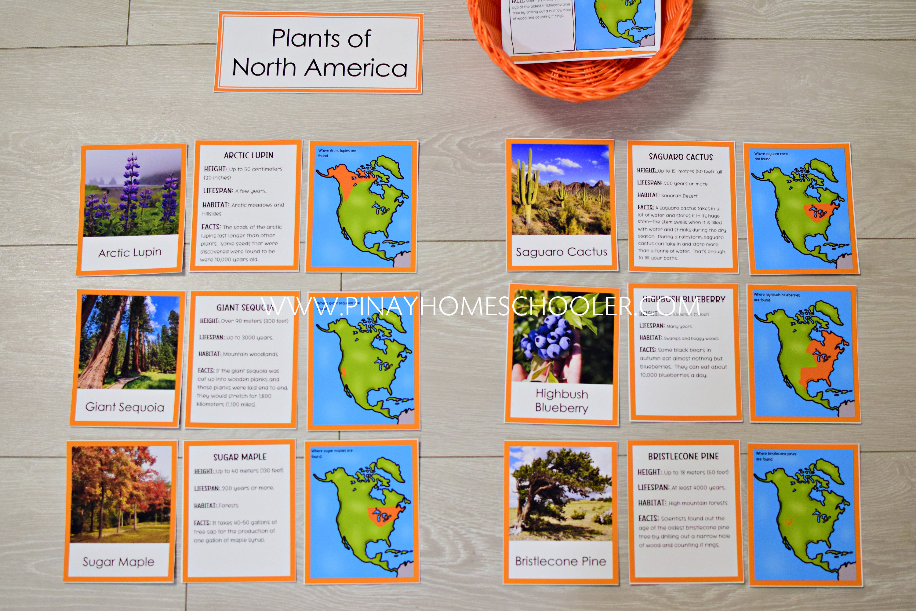 Plants of North America Montessori Learning Pack - Etsy
