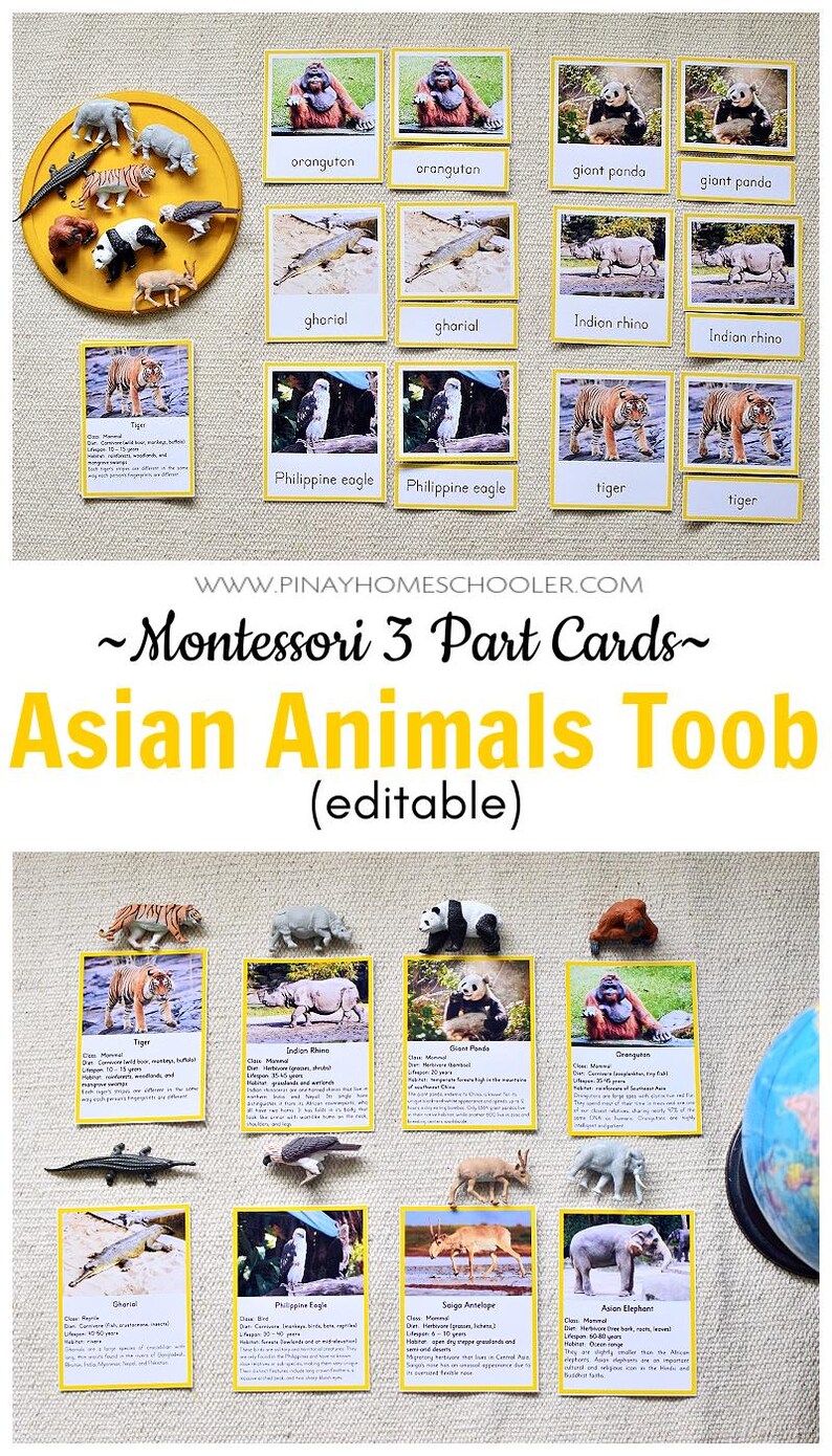Asian Animals Safari Toob Montessori Cards [EDITABLE] - Etsy