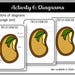 Parts of a Bean Seed Montessori 3 and 4 Part Cards - Etsy