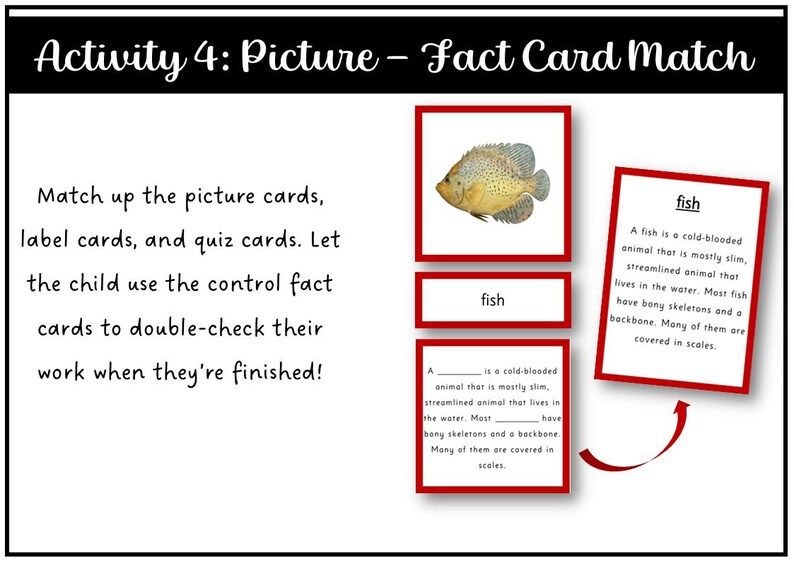 Parts of a Fish Montessori 3 Part Cards - Etsy