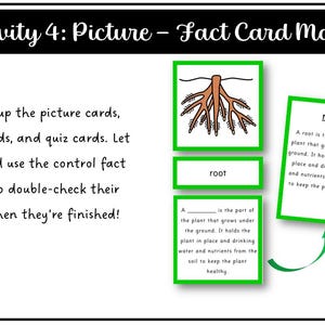 Parts of a Root Montessori 3 and 4 Part Cards - Etsy