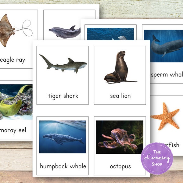 Ocean Part Cards - Etsy