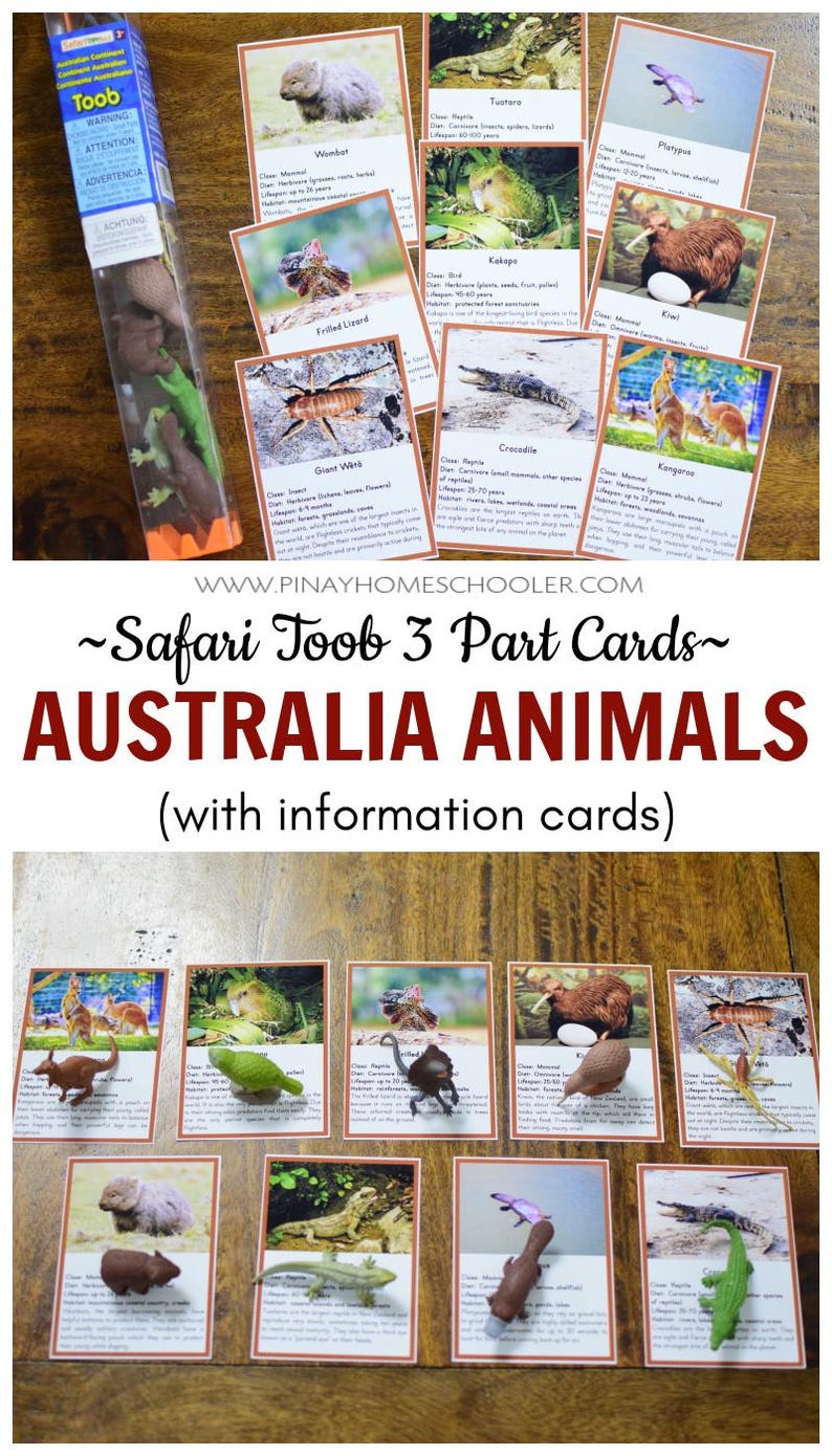 Safari Toob Australian Continent Montessori Cards - Etsy