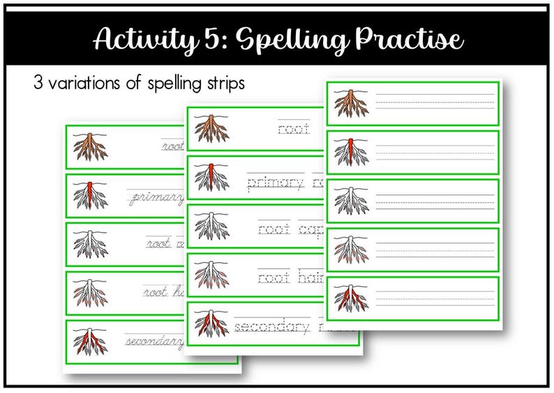 Parts of a Root Montessori 3 and 4 Part Cards - Etsy