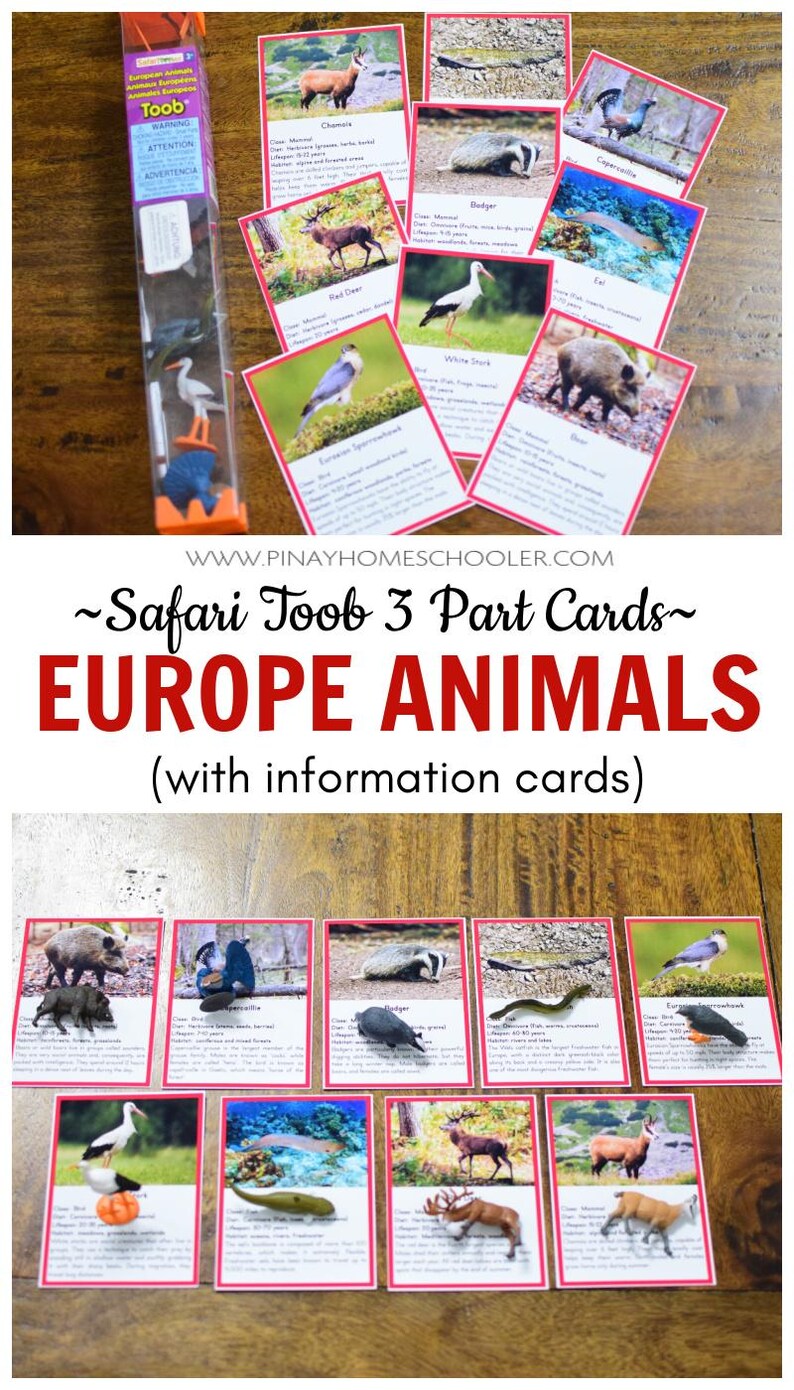 European Continent Safari Toobs Montessori Cards - Etsy