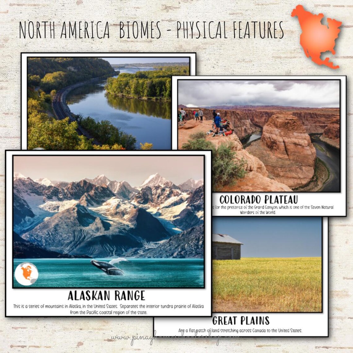 North America Biomes and Physical Features - Montessori Inspired - Etsy