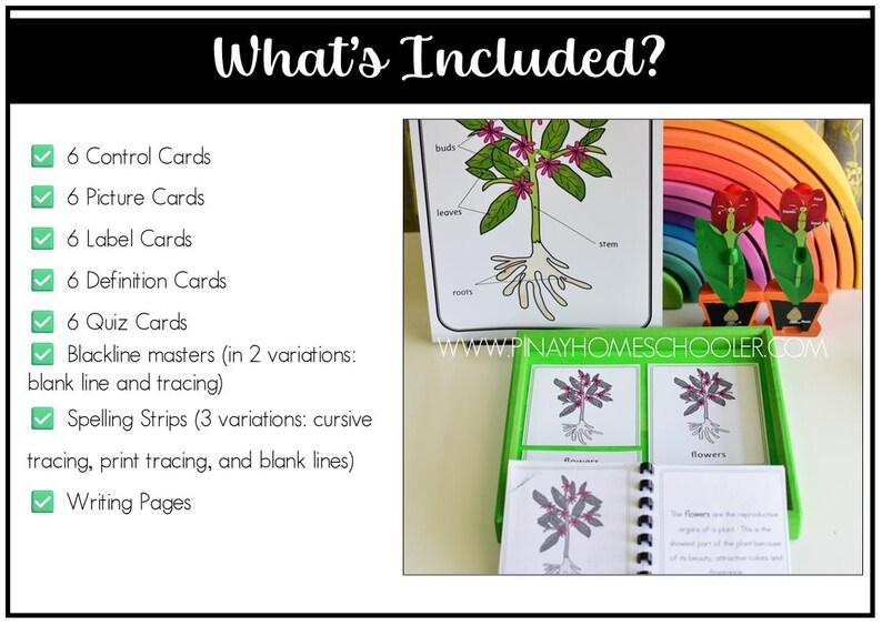 Parts of a Plant Montessori 3 and 4 Part Cards - Etsy