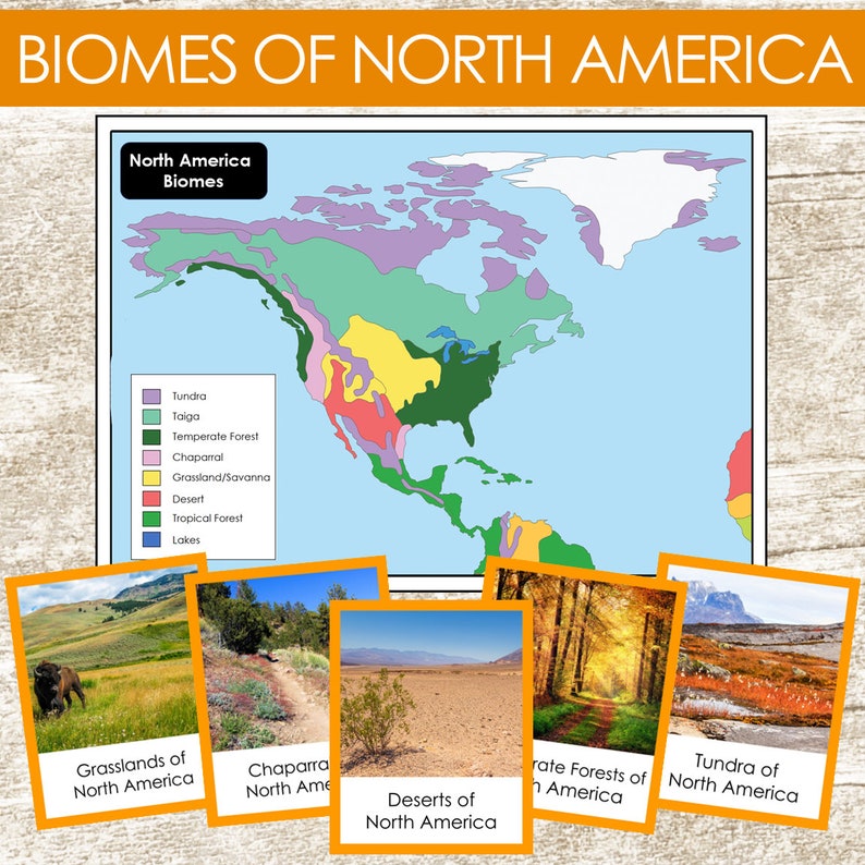 North America in a Nutshell - Montessori Continent Study - Etsy