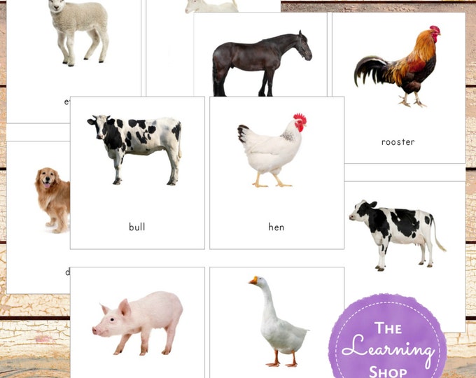Montessori Farm Animal 3 Part Cards - Etsy Canada