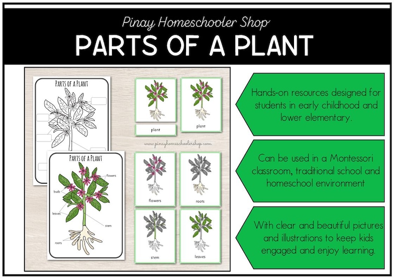 Parts of a Plant Montessori 3 and 4 Part Cards - Etsy