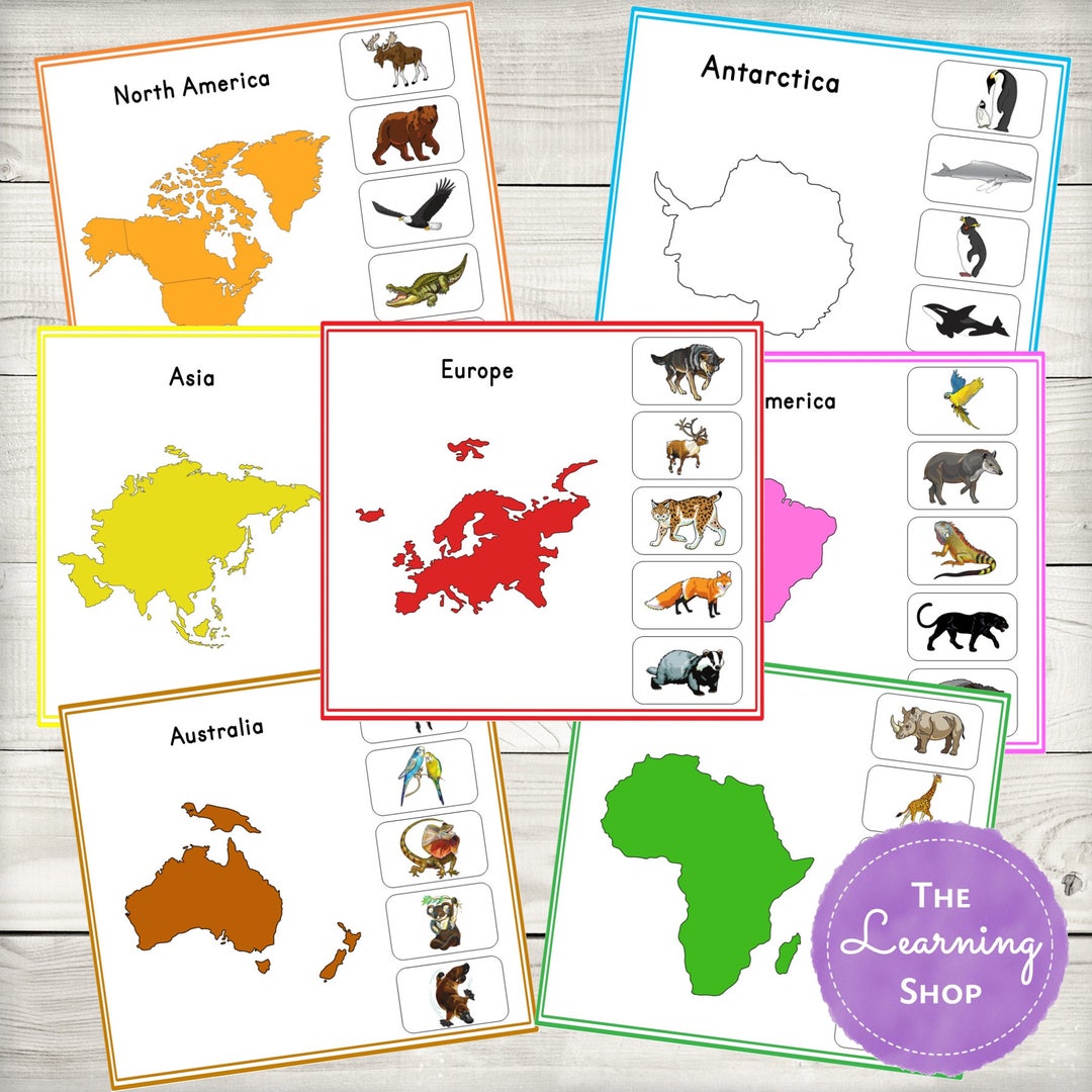 Animal Continents Activity Sheets - Etsy