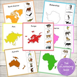 Animal Continents Activity Sheets - Etsy