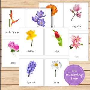 Montessori Inspired Flower Cards - Etsy