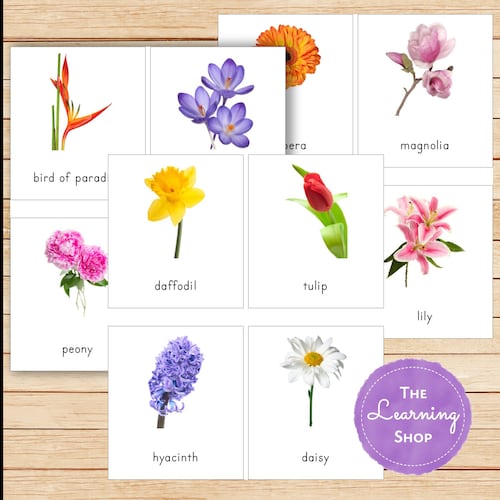 Montessori Inspired Flower Cards | Etsy