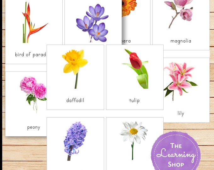 Montessori Around the World Landmarks 3 Part Cards - Etsy Ireland