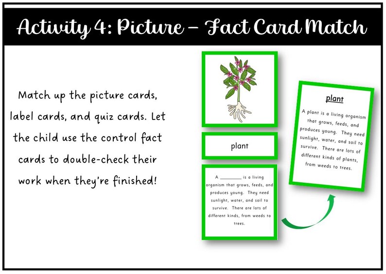 Parts of a Plant Montessori 3 and 4 Part Cards - Etsy