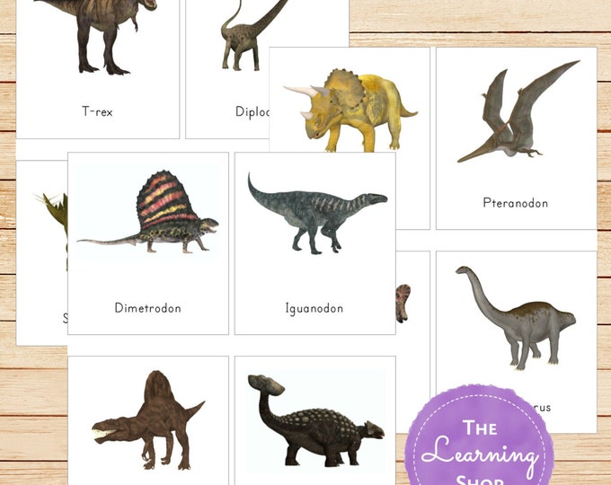 Montessori Dinosaur 3 Part Cards - Etsy
