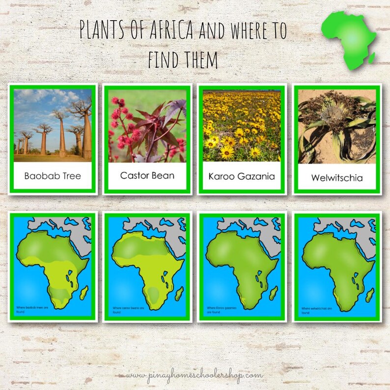 Plants of Africa Montessori Learning Pack - Etsy
