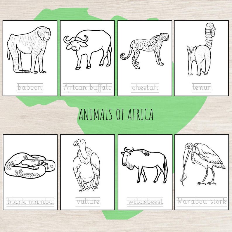 Animals of Africa Montessori 3 Part Cards With Fact Cards - Etsy