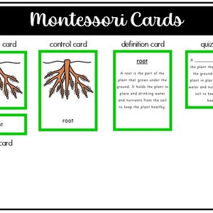 Parts of a Root Montessori 3 and 4 Part Cards - Etsy