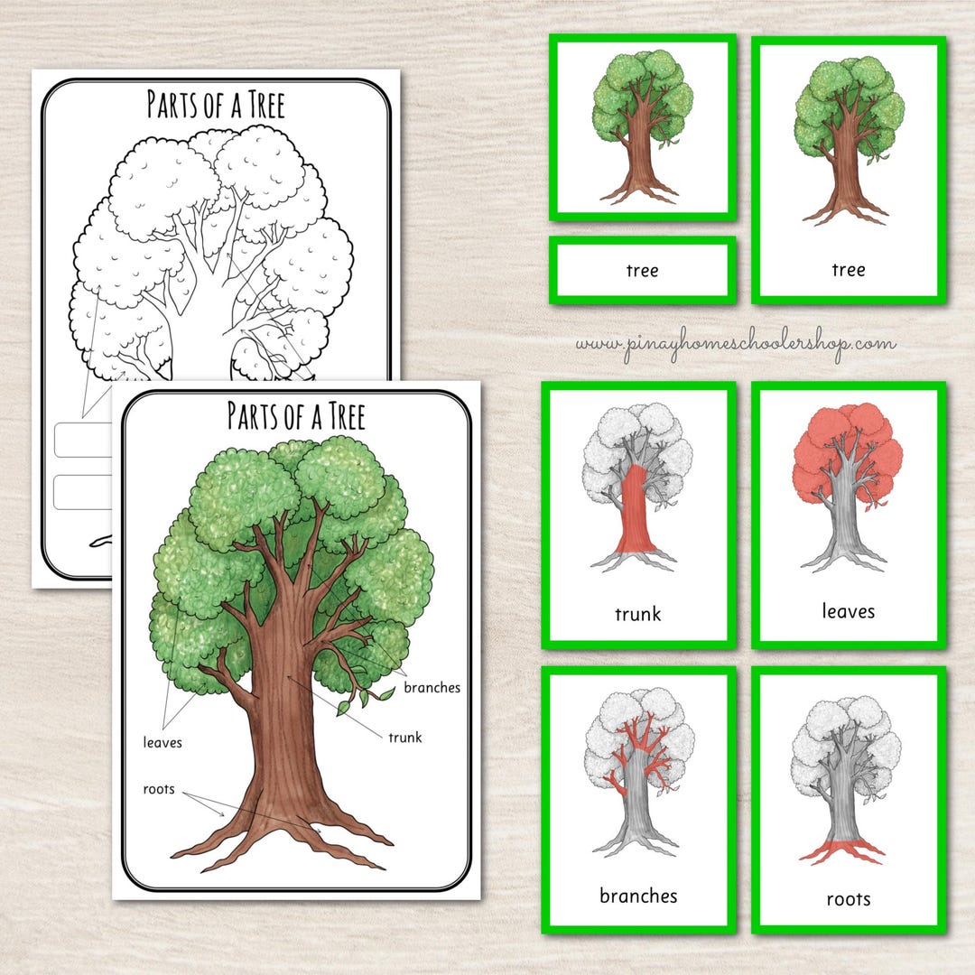 Parts of a Tree Montessori 3 and 4 Part Cards - Etsy