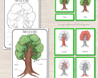 Parts of a Root Montessori 3 and 4 Part Cards - Etsy