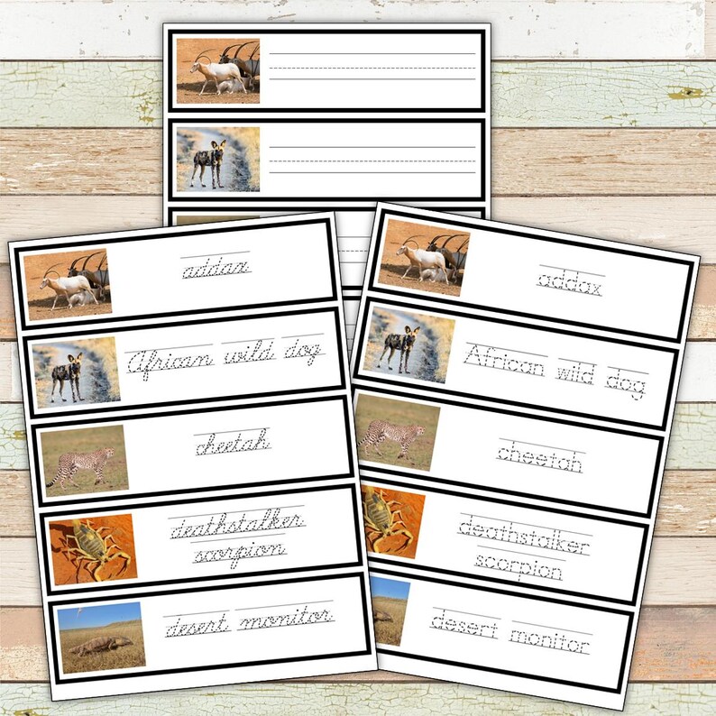 Sahara Safari Toob Montessori Cards - Etsy