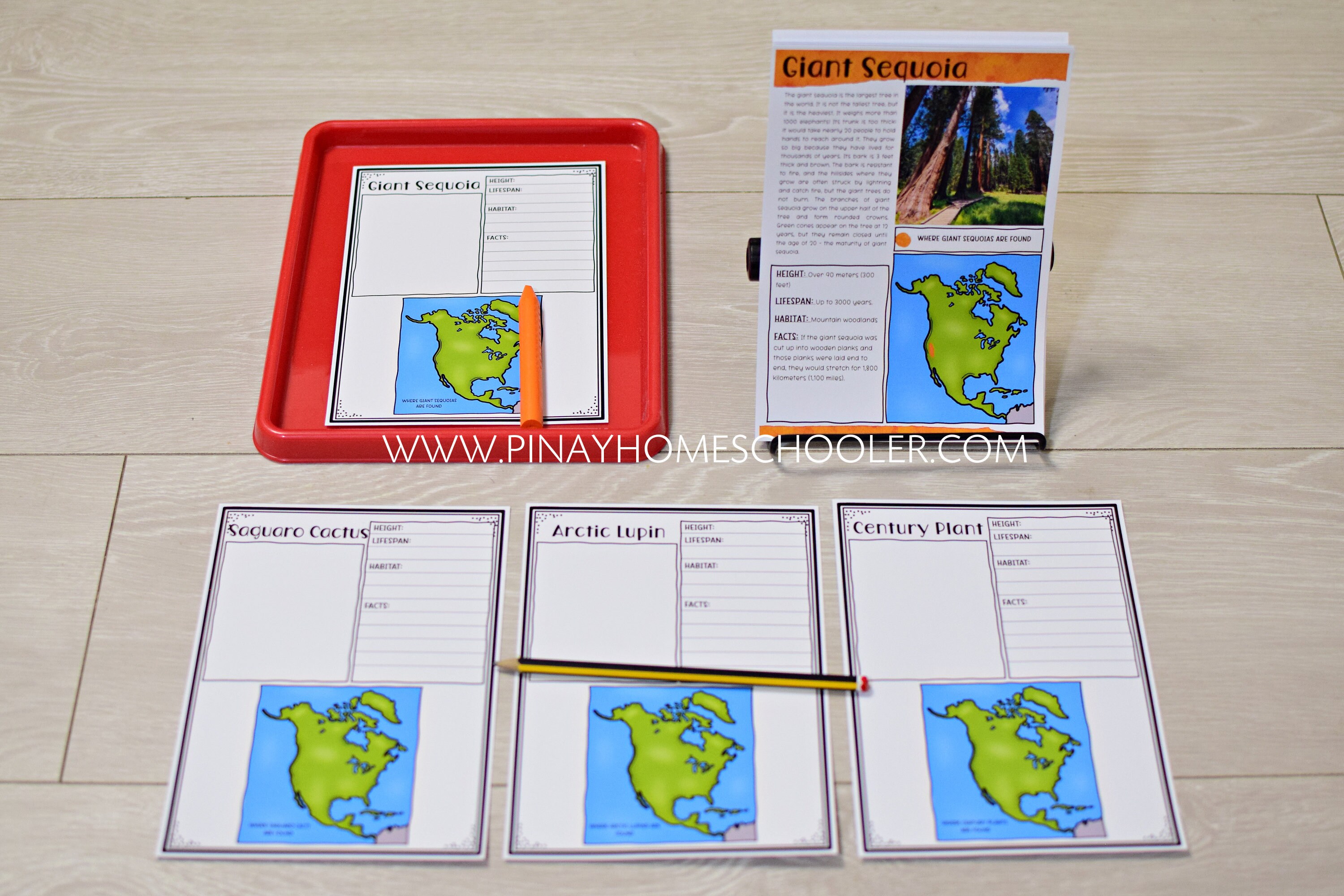 Plants of North America Montessori Learning Pack - Etsy