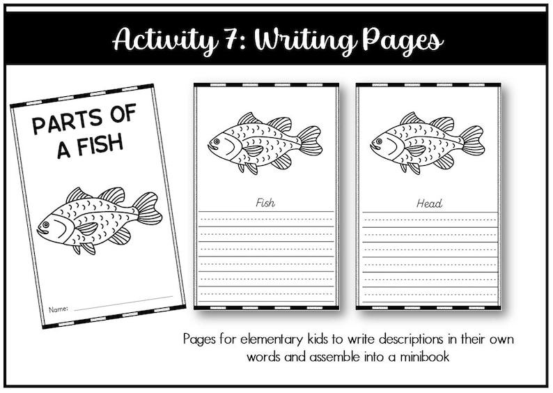 Parts of a Fish Montessori 3 Part Cards - Etsy