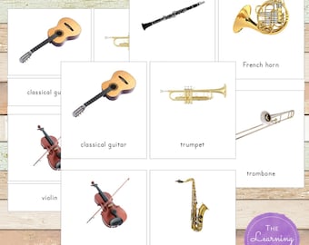 Musical Instruments Toob - Safari LTD Identification Cards - Etsy