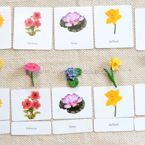 Montessori Inspired Flower Cards - Etsy