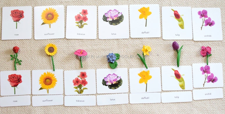 Montessori Inspired Flower Cards - Etsy