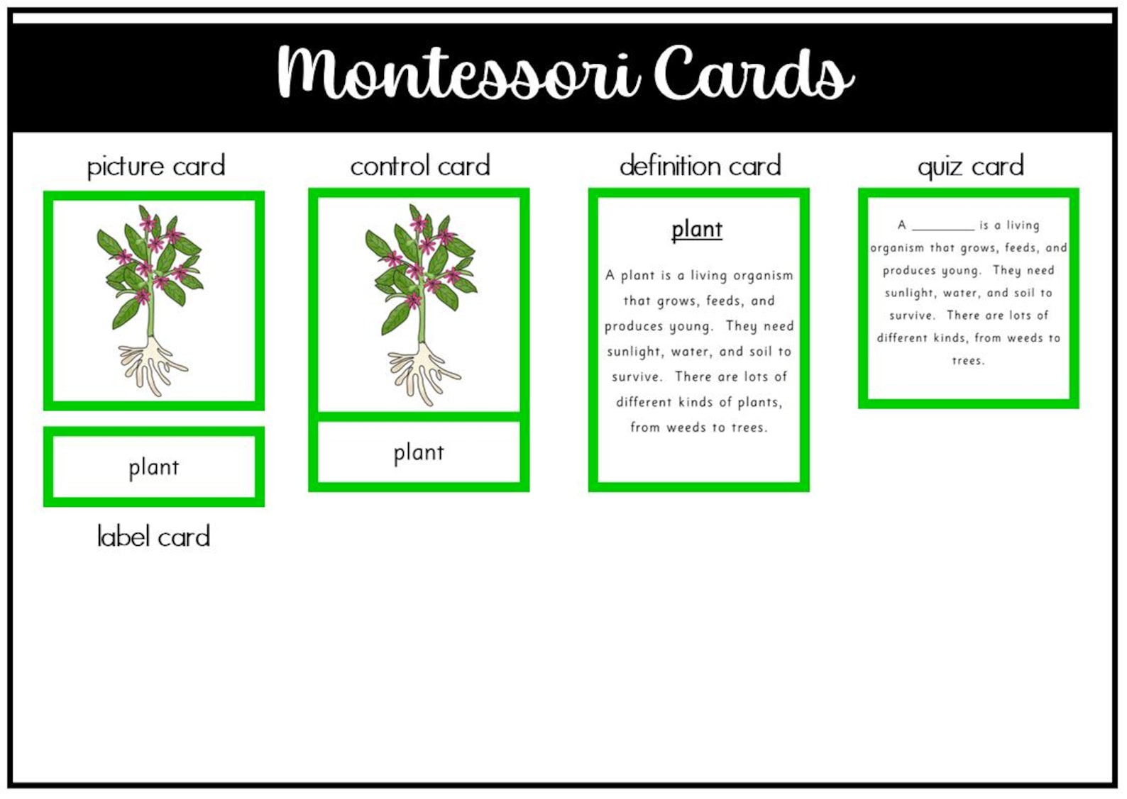 Parts of a Plant Montessori 3 and 4 Part Cards - Etsy