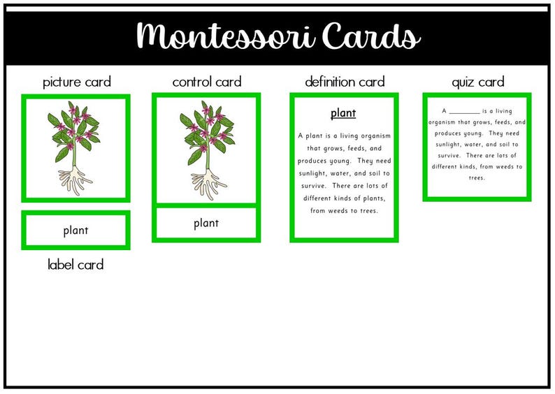 Parts of a Plant Montessori 3 and 4 Part Cards - Etsy