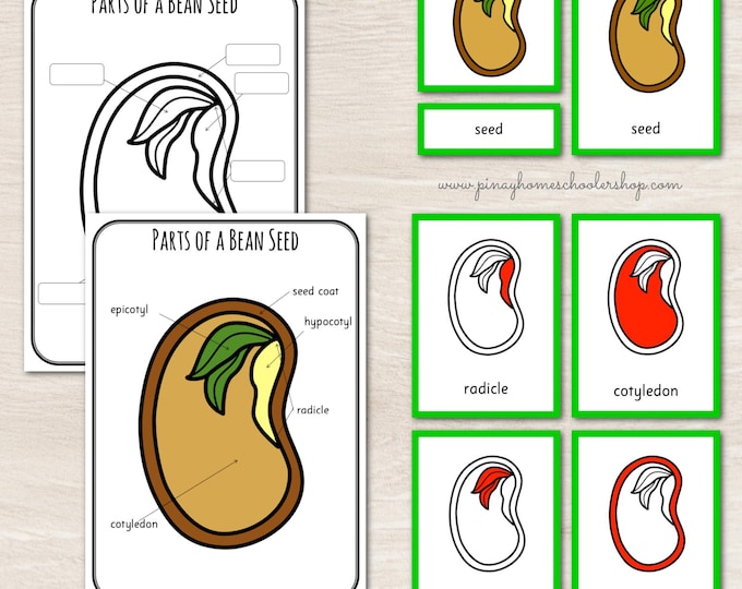 Montessori Around the World Landmarks 3 Part Cards - Etsy Ireland