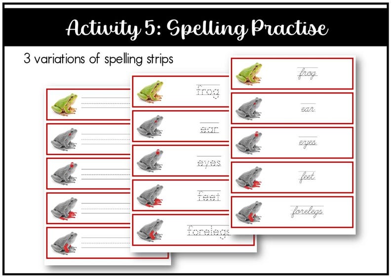 Parts of a Frog Montessori 3 Part Cards and Definitions - Etsy