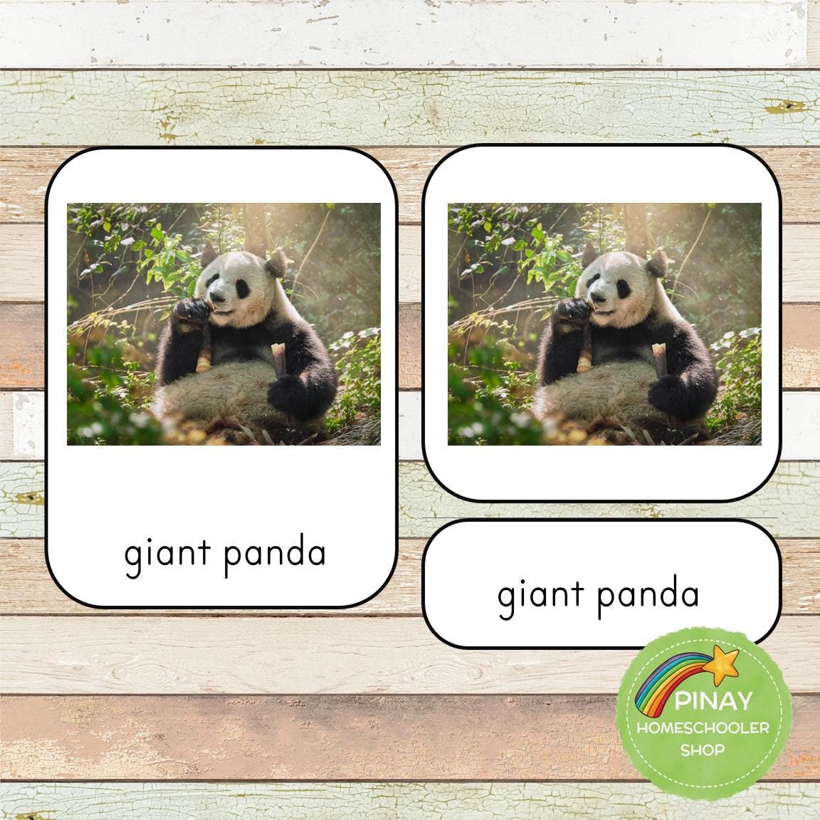 Asian Animals Safari Toob Montessori Cards [EDITABLE] - Etsy
