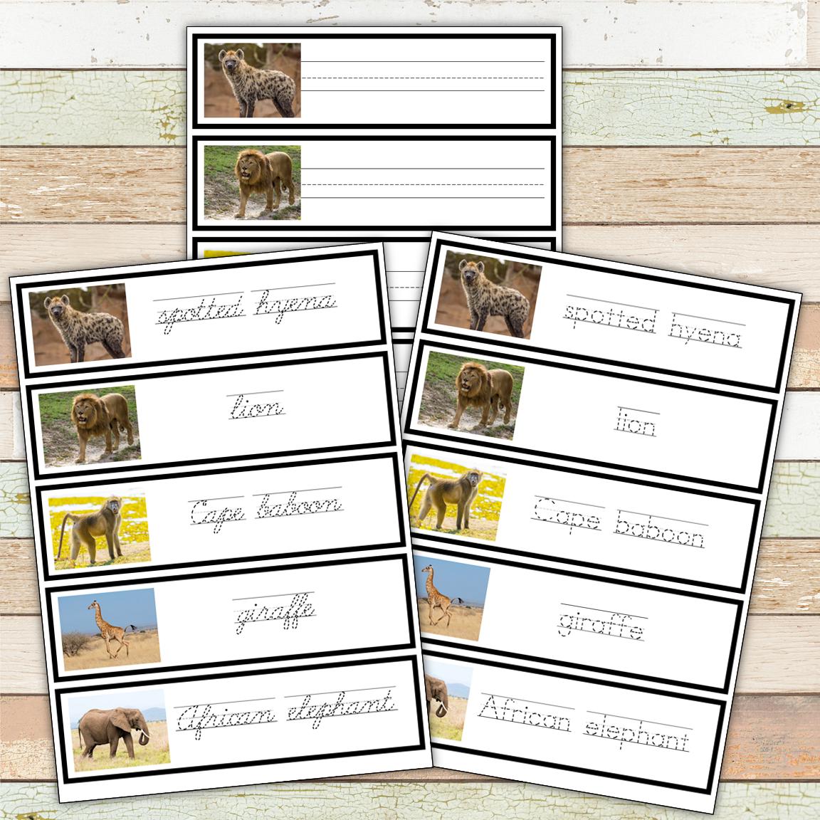 South Africa Toob Montessori Cards [EDITABLE] - Etsy