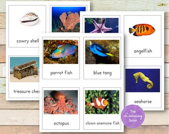 Coral Reef Safari Toob Montessori 3-part Cards Coral Reef Toob ...