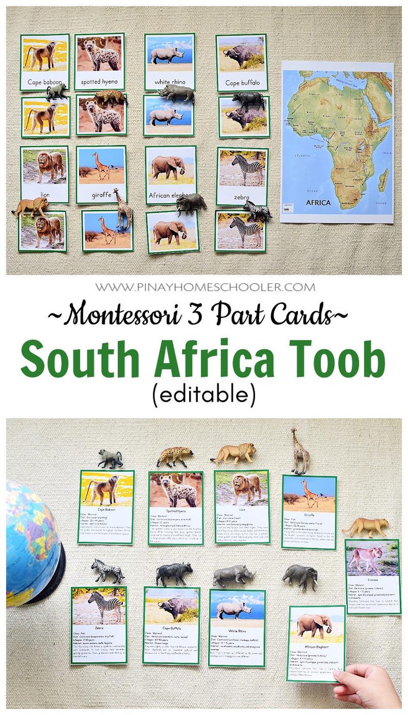 South Africa Toob Montessori Cards [EDITABLE] - Etsy