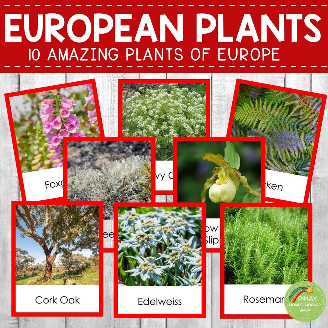Plants of Europe Montessori Learning Pack - Etsy