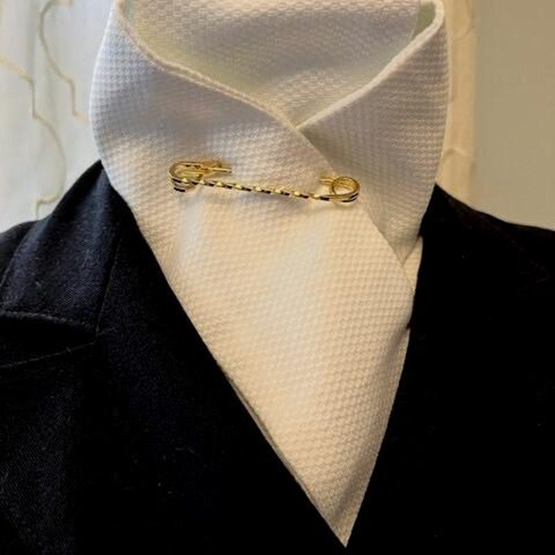 Dressage Stock Tie - Etsy