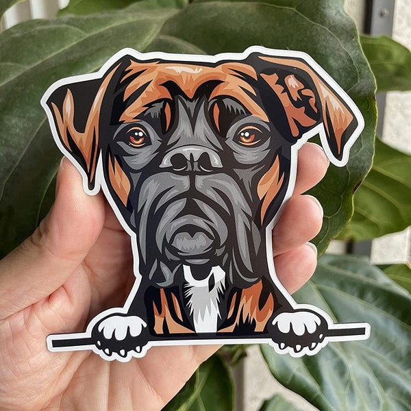 Boxer Breed - Etsy