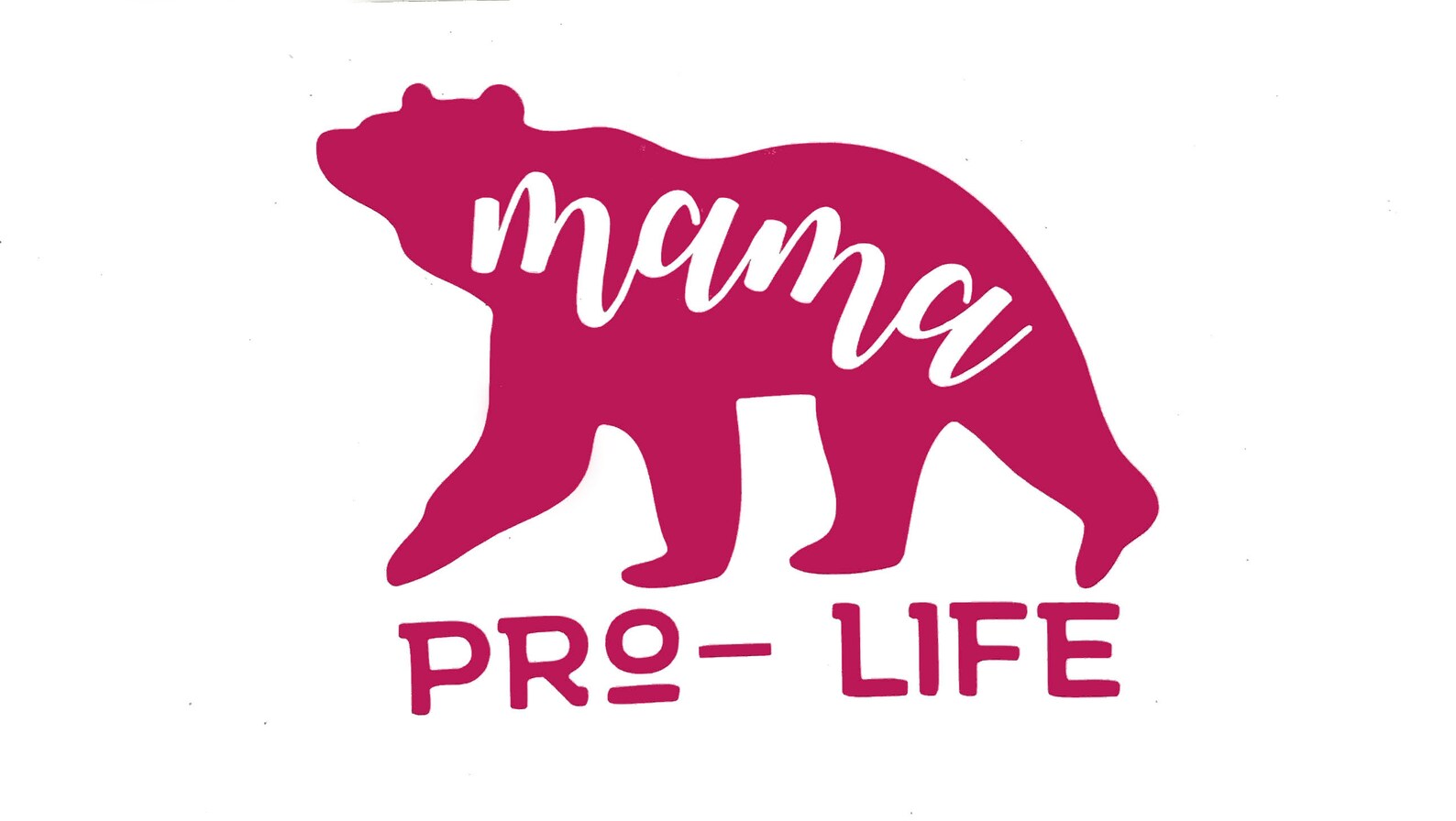 Personalized Pro Life Decal Custom Anti Abortion Vinyl | Etsy