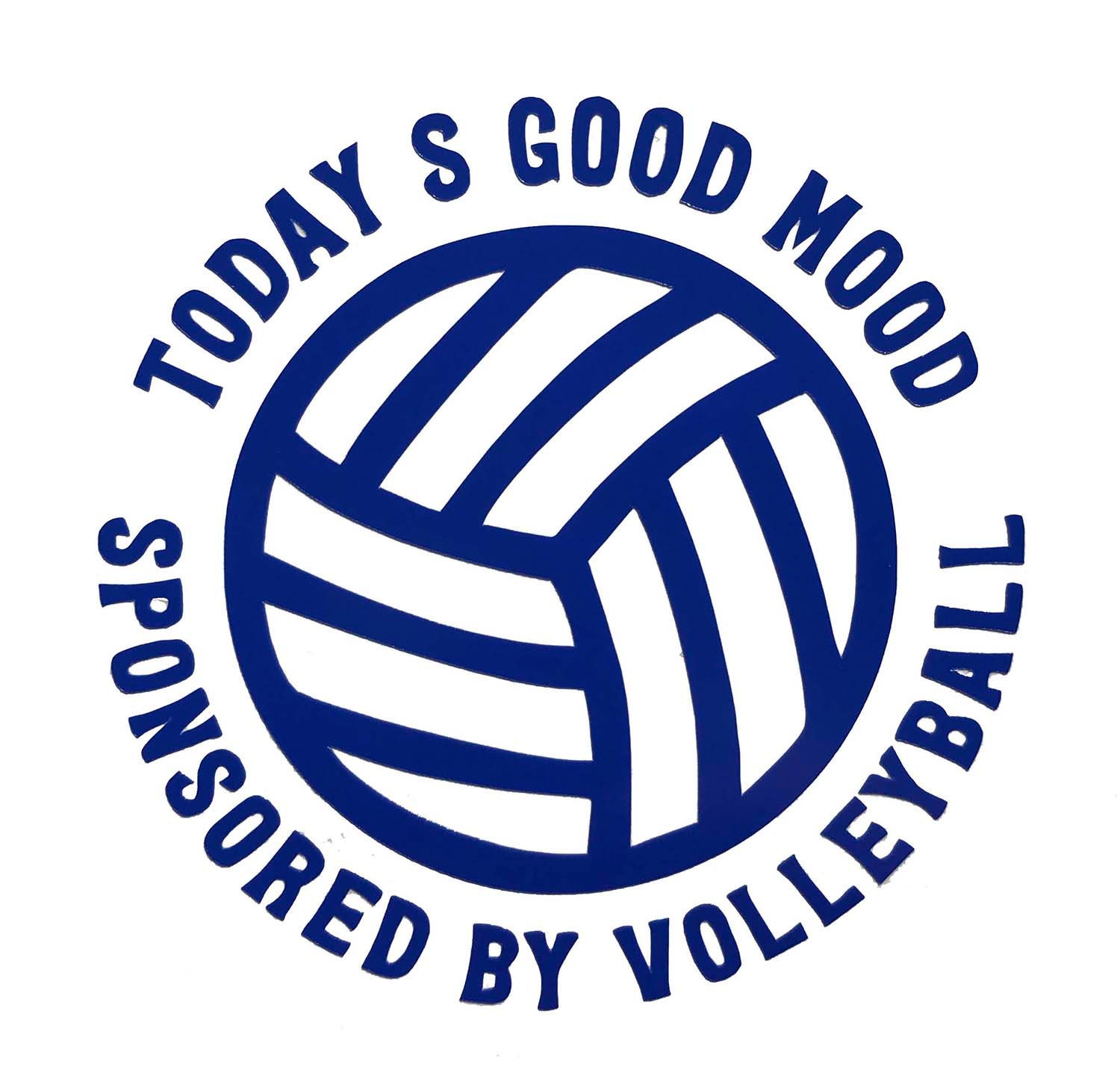 Volleyball Player Vinyl Decal, Girls Volleyball Coach Sticker, Yeti ...