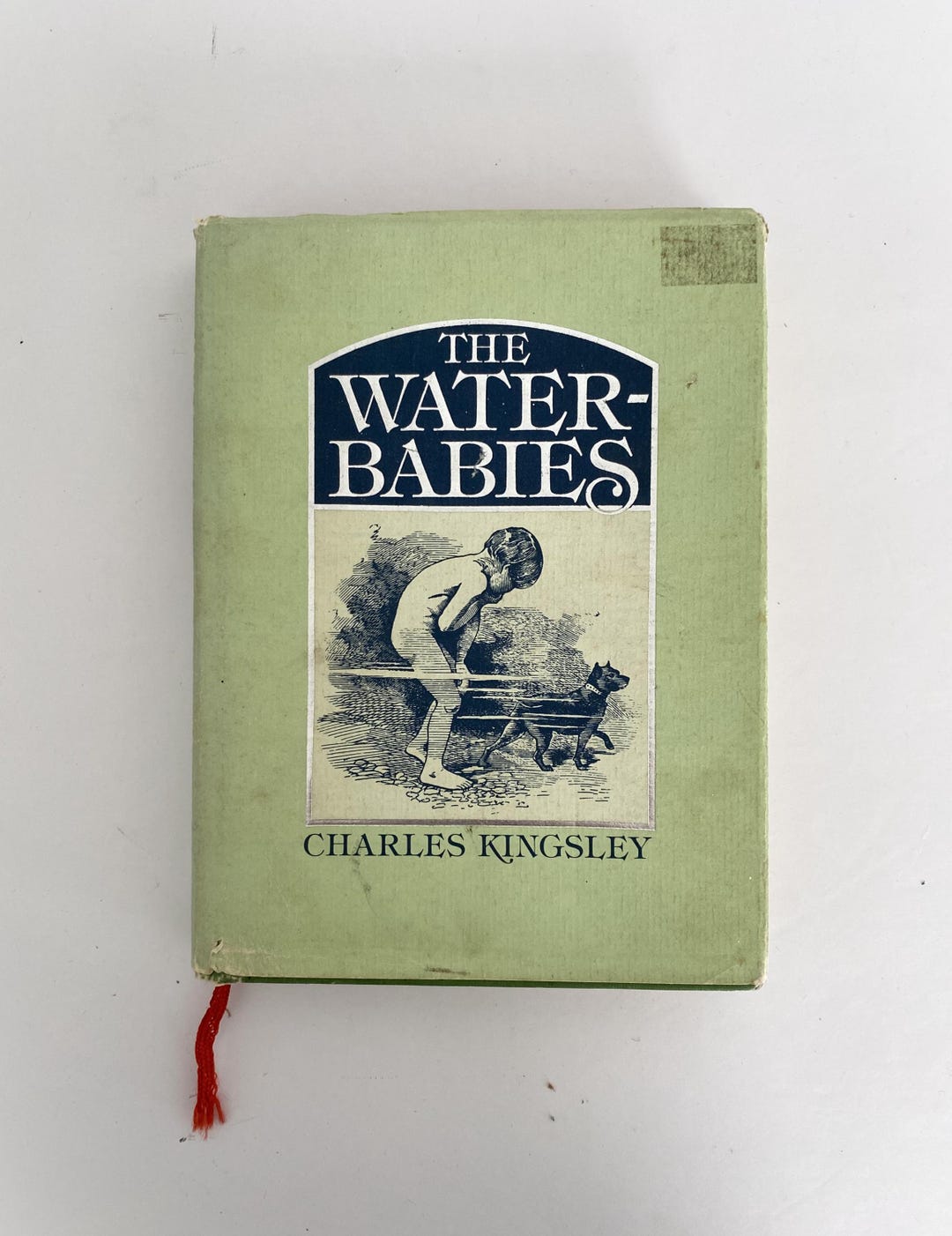 1979 the Water Babies Book | the Water Babies | Charles Kingsley ...
