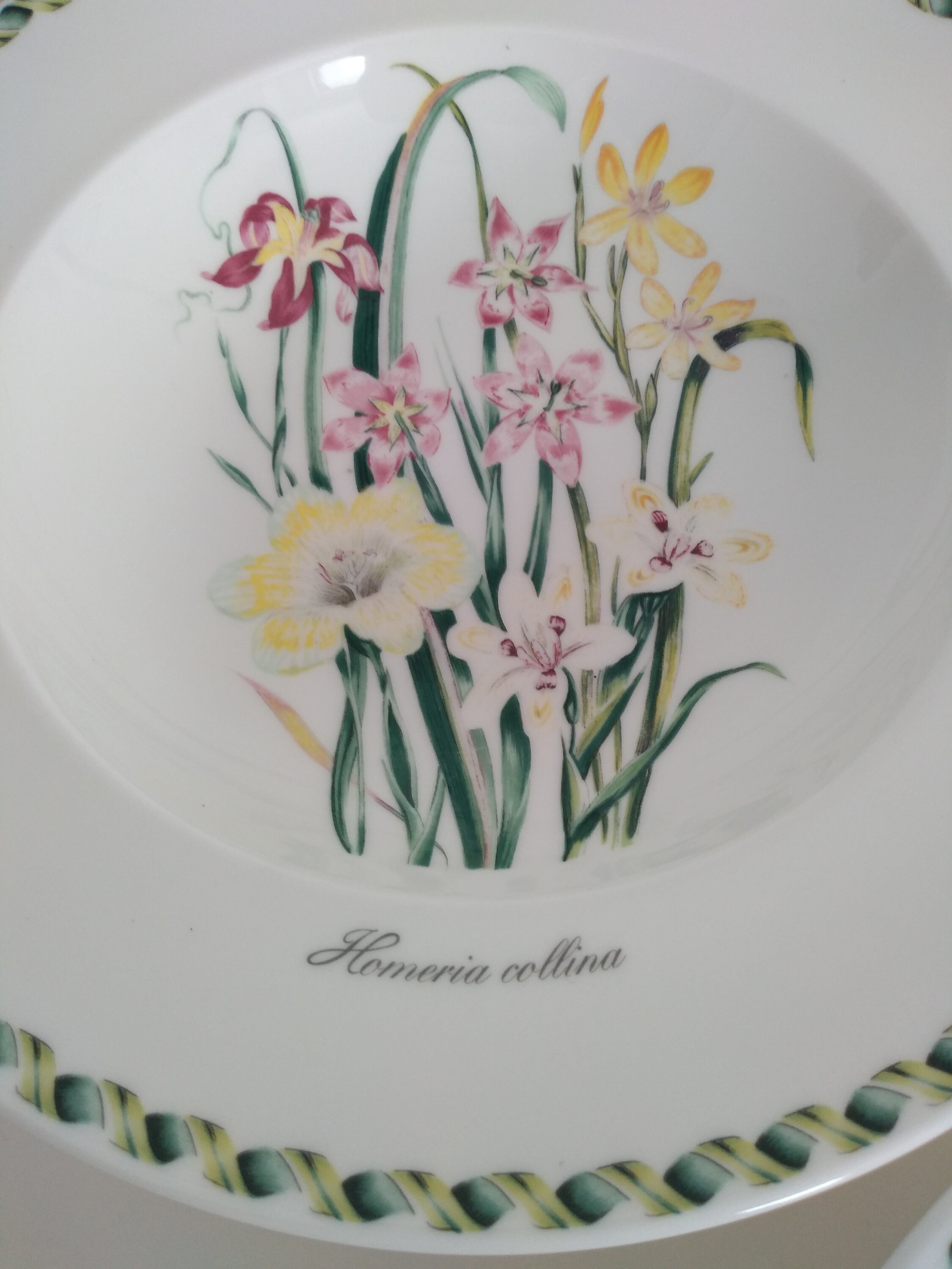 3 Portmeirion Ladies Flower Garden Soup Plates | Portmeirion Ladies ...